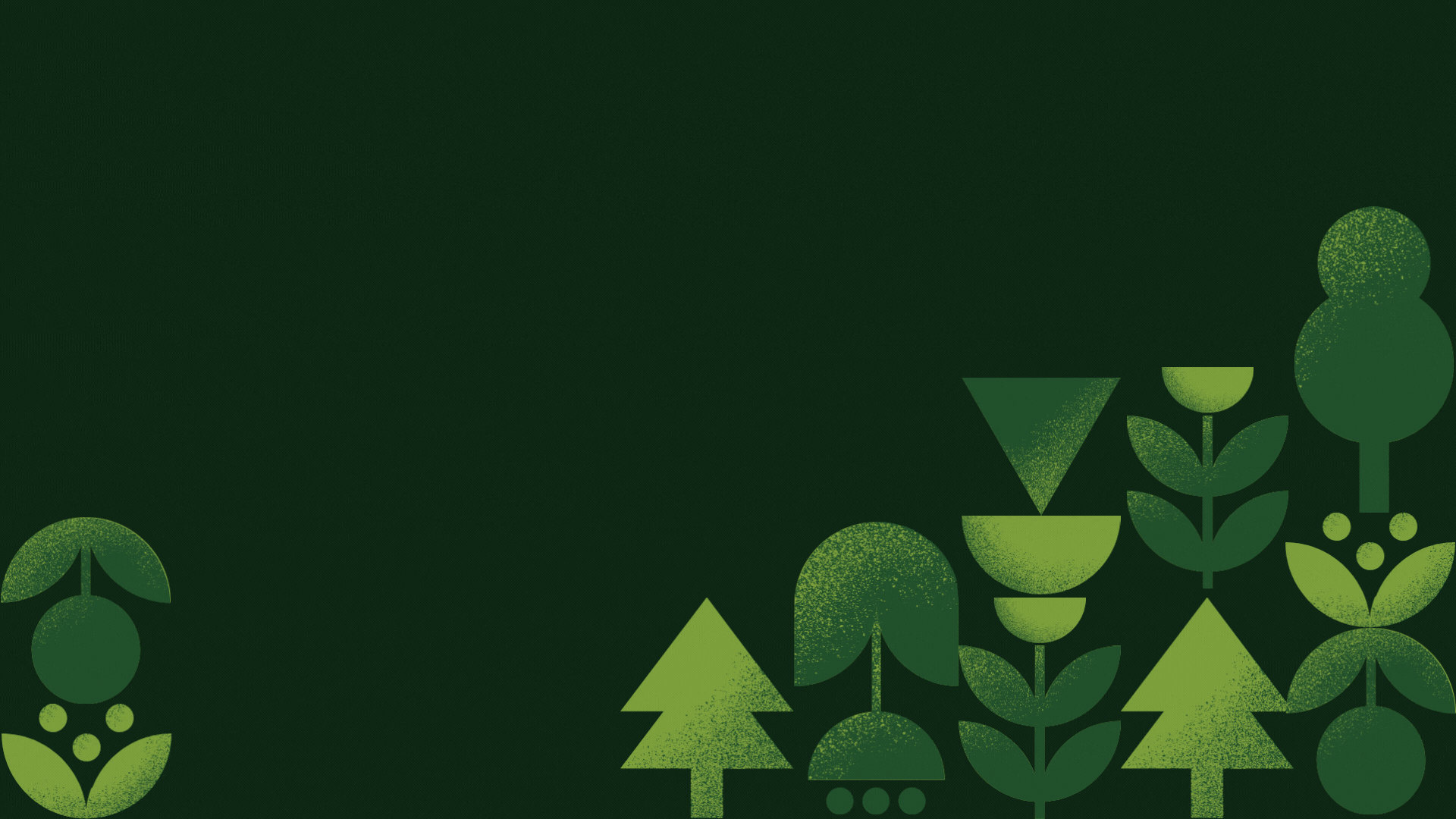 Empowering Pakistan’s unsung heroes: How PODA is revolutionising ...