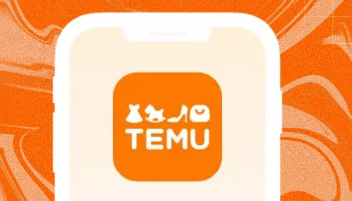Temu services halted in Vietnam for nonregistration