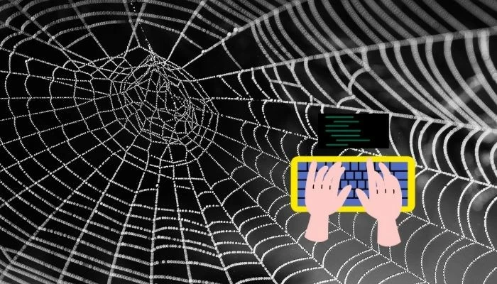 Manipulative web of social media algorithms